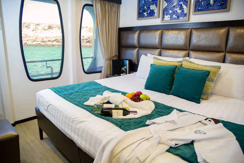 Alya Catamaran, Travel on a Luxury Cruise to Galapagos